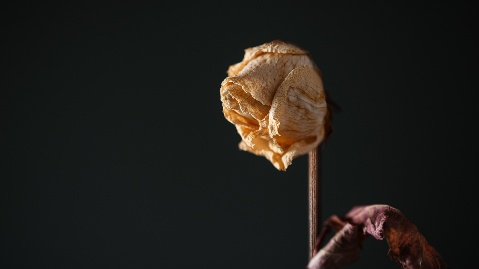 The Archetypal Whinging Feminine - Create your Deeply Satisfying Life™